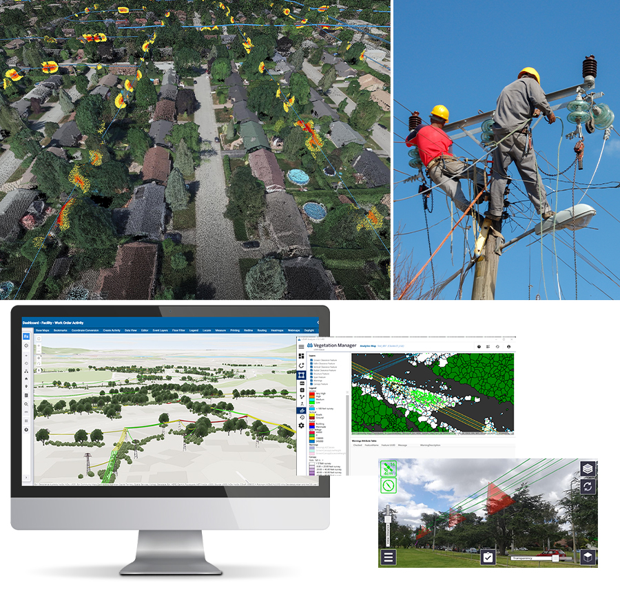 Cansel | Vegetation & Asset Management